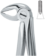 Incisors and Roots 30S - WA Instruments